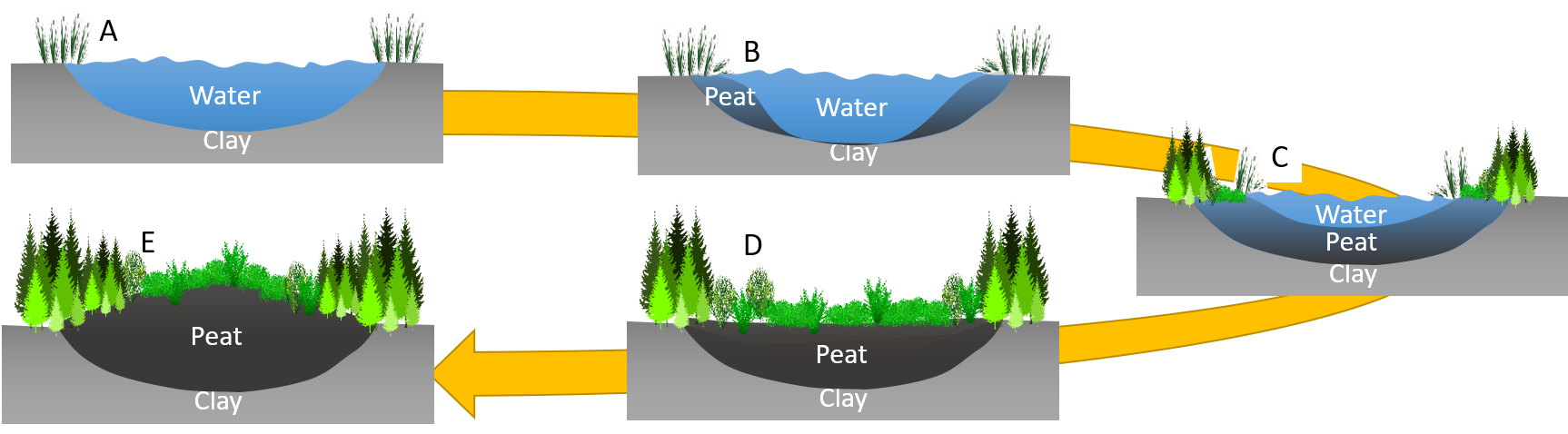 The KPU Farm: An Organic Teaching Farm at the Margin of an Ancient Peat ...